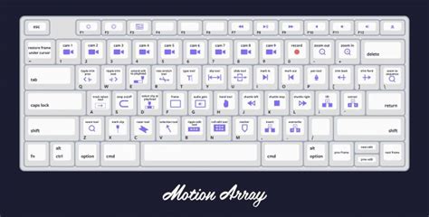 Premiere Pro Keyboard Shortcut Infographic From Motion Array