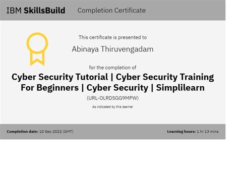 Cyber Security Skillsbuild Pdf