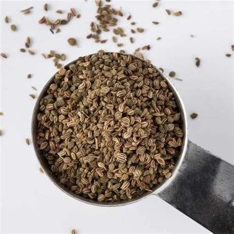 Celery Seeds Natural Packaging Size 25 Kg At ₹ 116kg In Rajkot Id