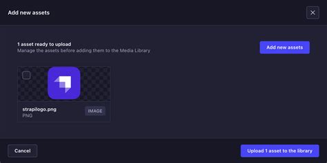 Adding Assets Strapi 5 中文文档 Strapi中文网