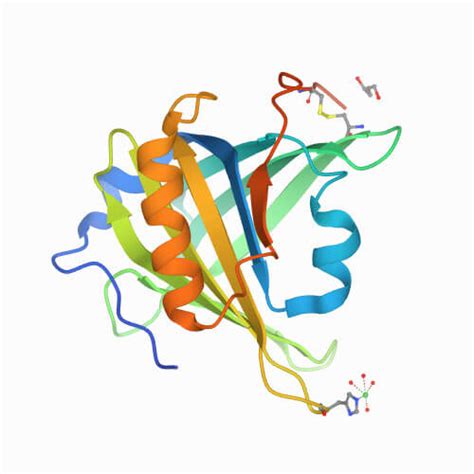 Alpha 1 Microglobulin Advy