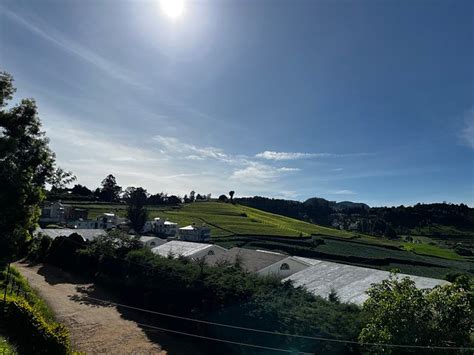 Mango Hill Resort Ooty Updated 2023 Indiaooty Udhagamandalam