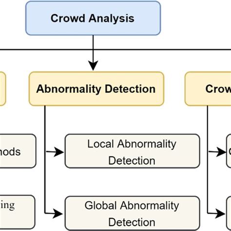 Schematic Representation Of The Crowd Analysis Categories In This