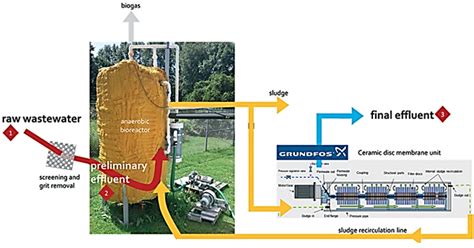 Microplastics Encyclopedia Mdpi