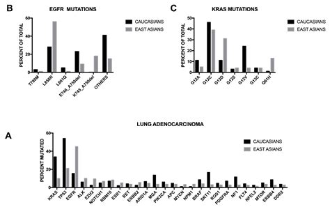 Todd Nathanson Lindsay Ellis