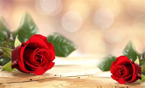 Амур На контроле в аэропорту беременная женщина заблокирована полицейскими собаками