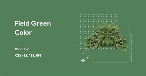 Field Green Color Hex Code Is 538059