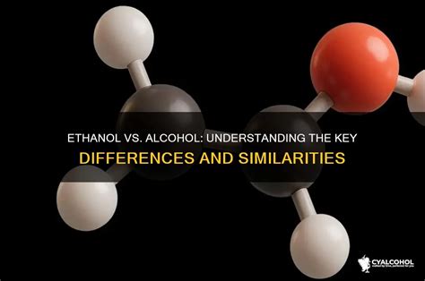 Ethanol Vs Alcohol Understanding The Key Differences And Similarities Cyalcohol