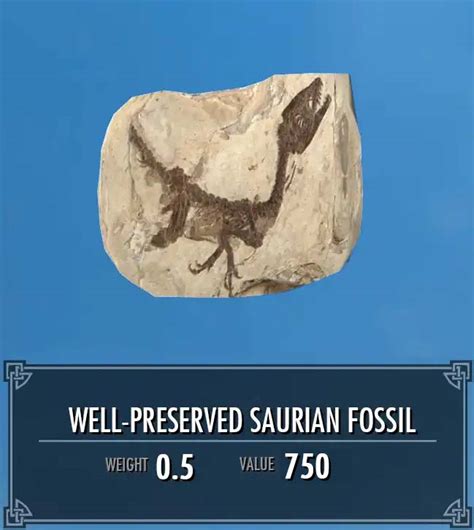 Well Preserved Saurian Fossil Legacy Of The Dragonborn Fandom