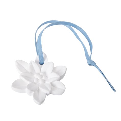 Hanging Porcelain Flower Diffusershop
