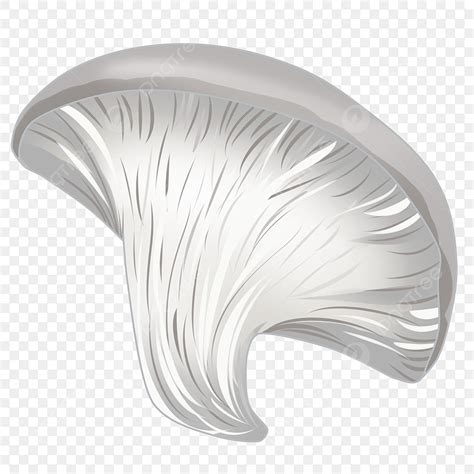 Gourmet Foreign Bacteria Healthy And Fresh Gastronomy Mushroom