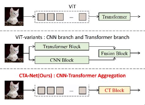Cta Net A Cnn Transformer Aggregation Network For Improving Multi Scale Feature Extraction