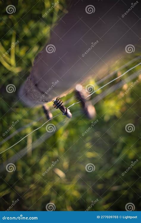 Electric Fence Around A Pasture Stock Image Image Of Mowing Frame