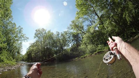 West Virginia Trout Fishing Youtube
