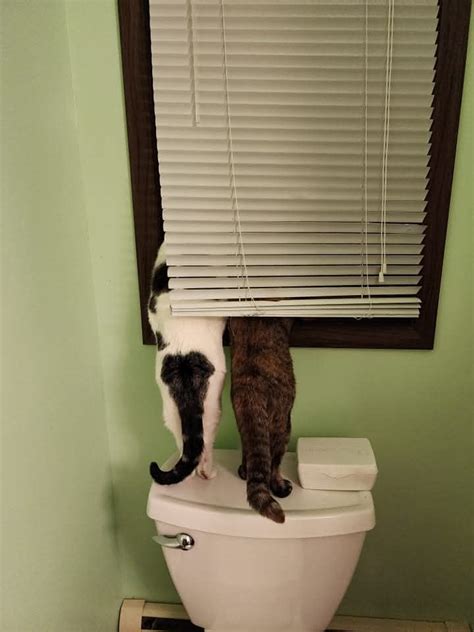 Happy Saturday 😊 Do You Think Maj And Shelley Kellerman Facebook