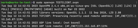 How To Install Openvpn On Docker 7 Steps Phoenixnap Kb