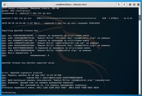 Python Script For Arpspoof Boofrench