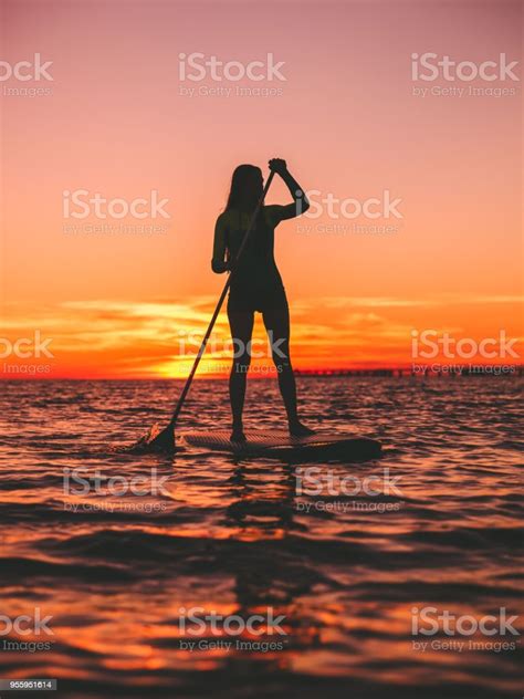 여자 서 패 들 아름 다운 Sunse와 평면 따뜻하고 조용한 바다에 황혼에서 탑승 일몰에 대한 스톡 사진 및 기타 이미지