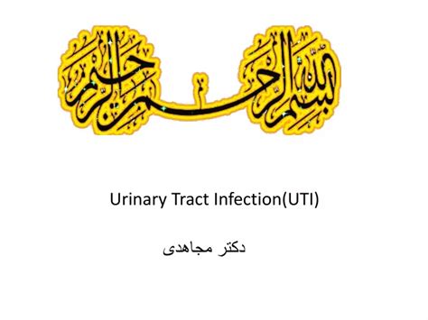 Ppt Urinary Tract Infections Causes Symptoms And Risk Factors