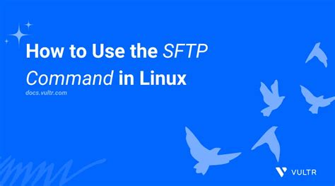 How To Use The Sftp Command In Linux Vultr Docs