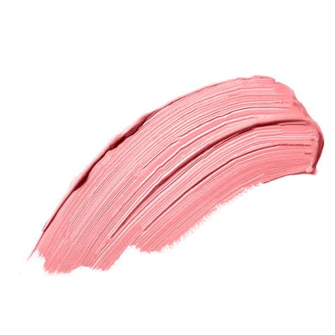 Murex Shell Ellure Murex Shell Ellure