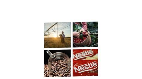 Conozca las Startups seleccionadas por Nestlé México y The Yield Lab LATAM para impulsar la