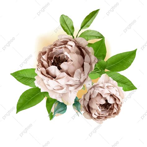 Flower Without Background Png Vector Psd And Clipart With