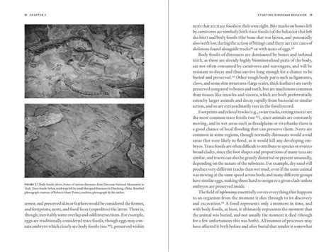 Uncovering Dinosaur Behavior What They Did And How We Know Nhbs