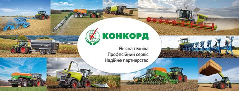 Конкорд