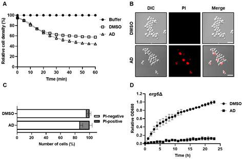 Antioxidants Free Full Text Andrographolide Induces ROS Mediated
