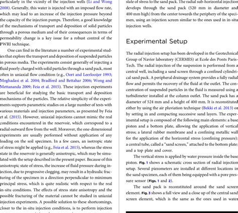 Schematic Cross Section Of Radial Injection Setup After Development Download Scientific