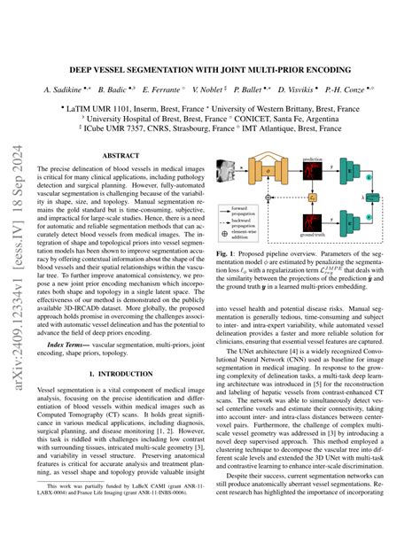 Pdf Deep Vessel Segmentation With Joint Multi Prior Encoding