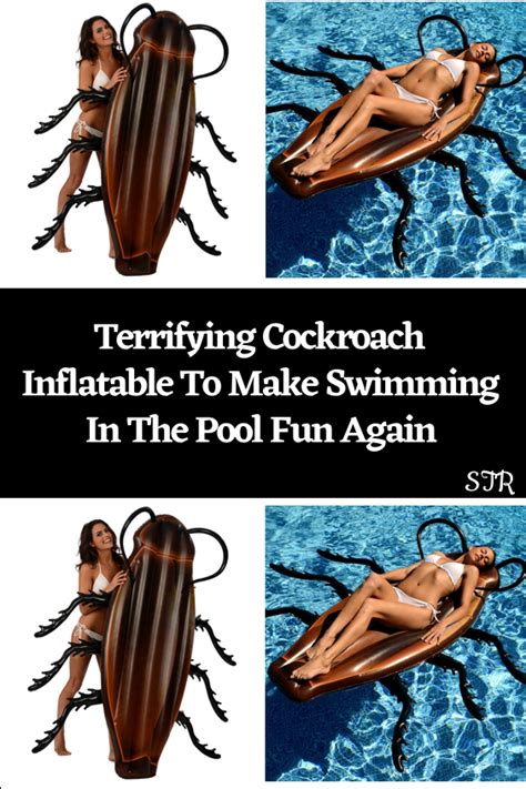 Terrifying Cockroach Inflatable To Make Swimming In The Pool Fun Again