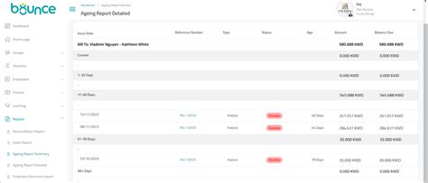 Ageing Report Summary Bounce