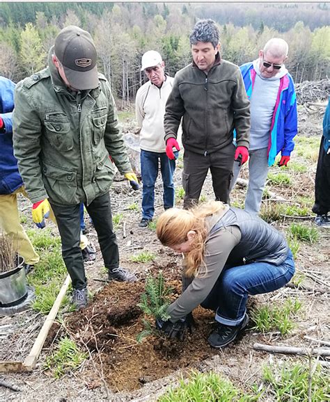 Peste cinci milioane de puieţi plantaţi până în prezent în