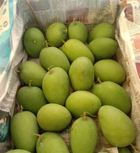 Mangoes Wholesale Price And Mandi Rate For Mangoes In India