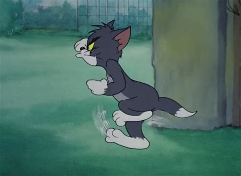 Angry Cat Meme Tom And Jerry