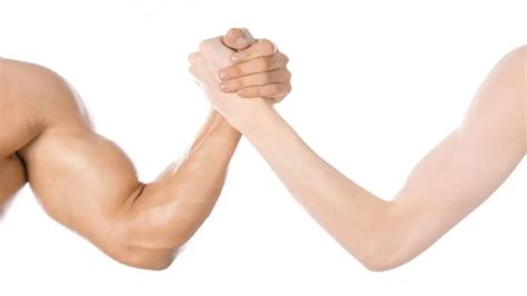 Got Small Skinny Forearms These 4 Tips Will Help