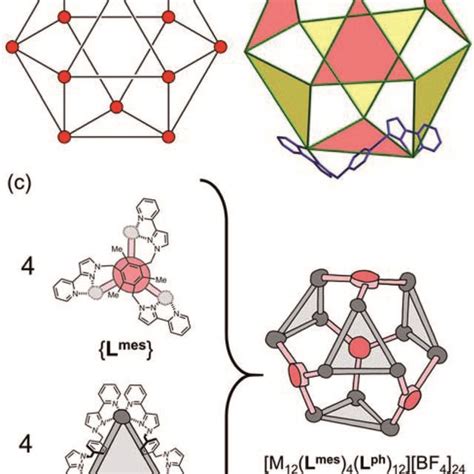 A An Idealised Cuboctahedron B Partial Crystal Structure Of Download Scientific Diagram