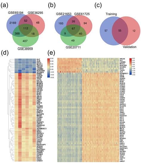 Biomedicines Free Full Text Identification Of A NACC1 Regulated