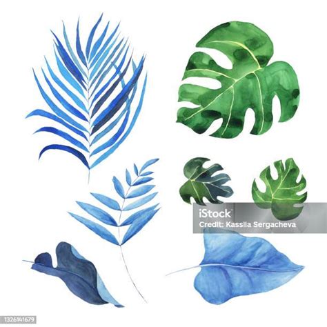 흰색 배경에 고립 된 열대 정글 녹색과 파란색 잎세트 프론드 야자수 잎 몬스터의 수채화 손 그리기 그림 카드 포스터 배너 벽지에