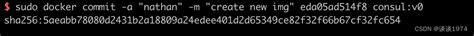 Docker 使用 将容器打成镜像docker将容器打包成镜像 Csdn博客