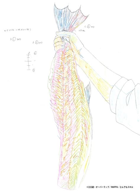 Genga Page Sakugabooru