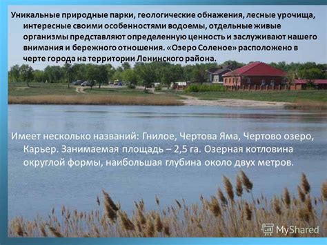 Презентация на тему Озеро нашего детства Наша малая Родина 4 114