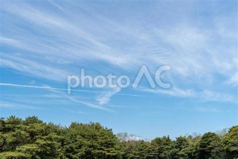 青空と新緑の風景 No 26456291｜写真素材なら「写真ac」無料（フリー）ダウンロードok