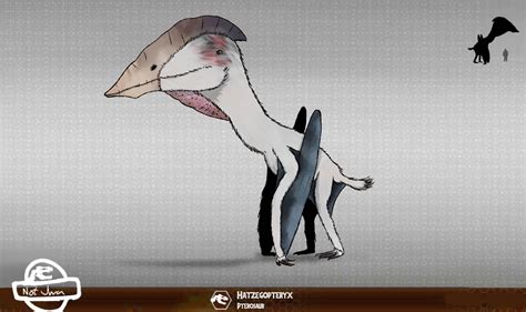 Hatzegopteryx But More Accurate Because A Project R Jurassicworldalive
