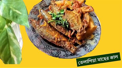 তেলাপিয়া মাছের ঝাল। Tilapia Fish Curry Bengali Recipe How To