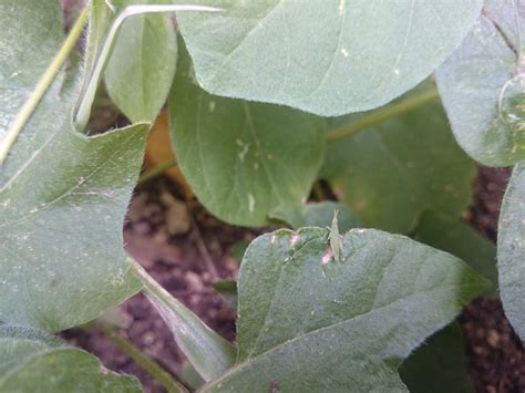 ACM Inc Acm Inc Twitter