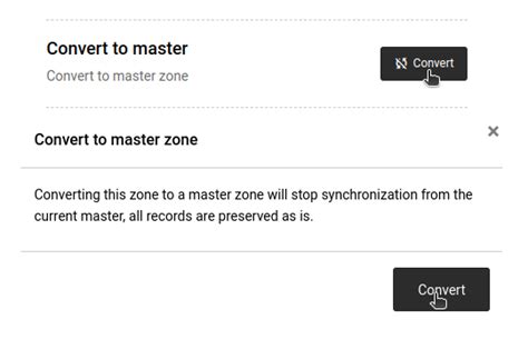 Convert Premium DNS Zone To Master Slave Replication Realtime
