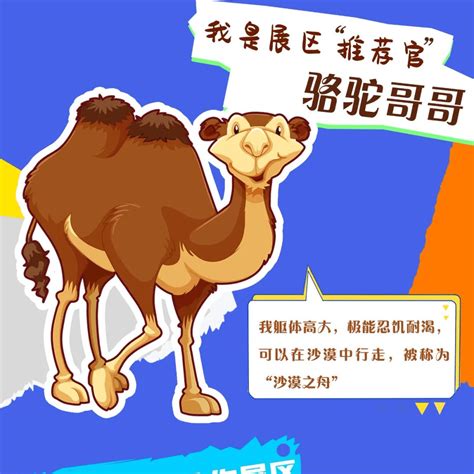 轮番上场！5位“推荐官”为兰洽会“弹个窗”临泽展区甘肃